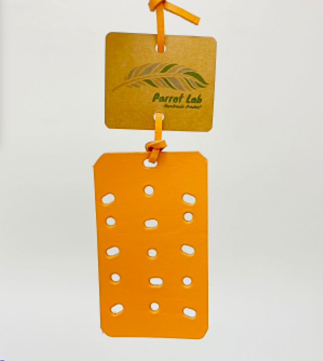 Parrot Lab Vegetable Leather DIY | Birdsprees